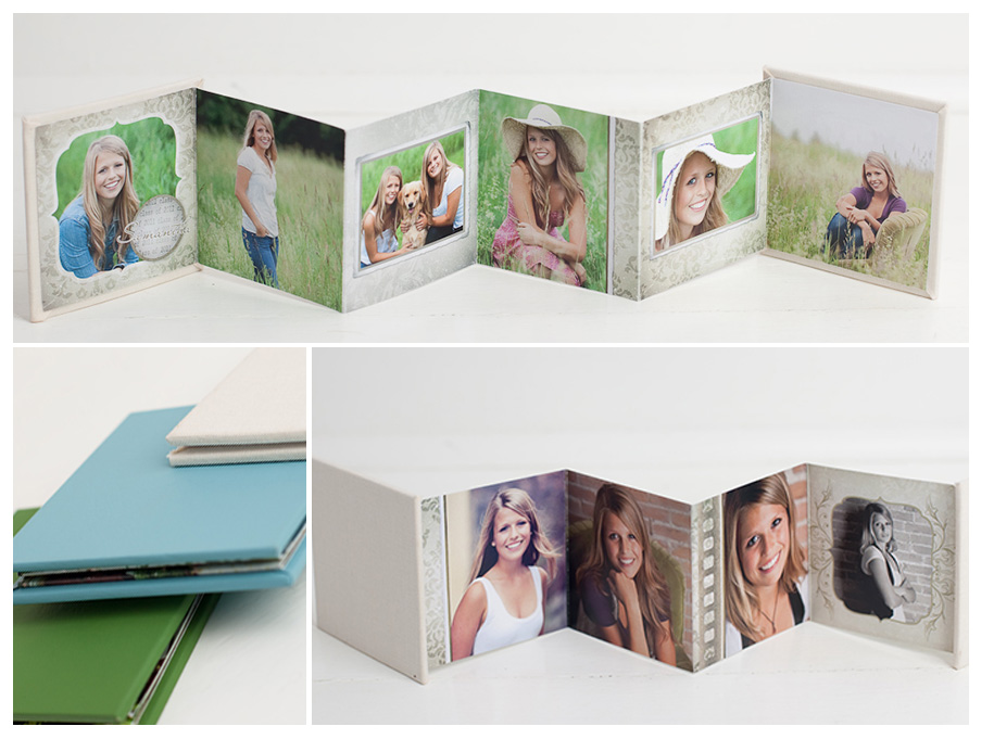 Mini Accordion Book Options - Products & Ordering - Laura Brophy ...